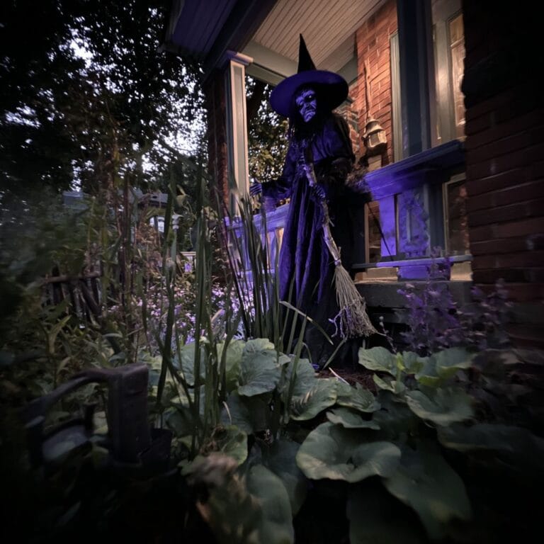 30 Outdoor Witch Decoration Ideas - Gloomy Girlz